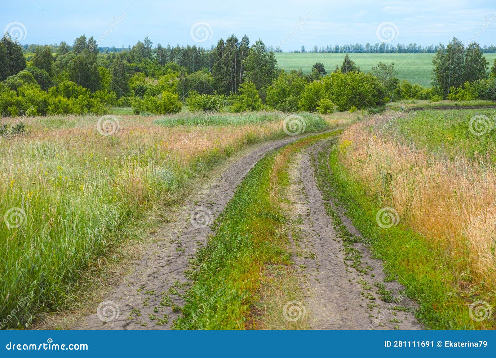 Road Going through a Field of Grass in a Rural Area Stock Image - Image ...