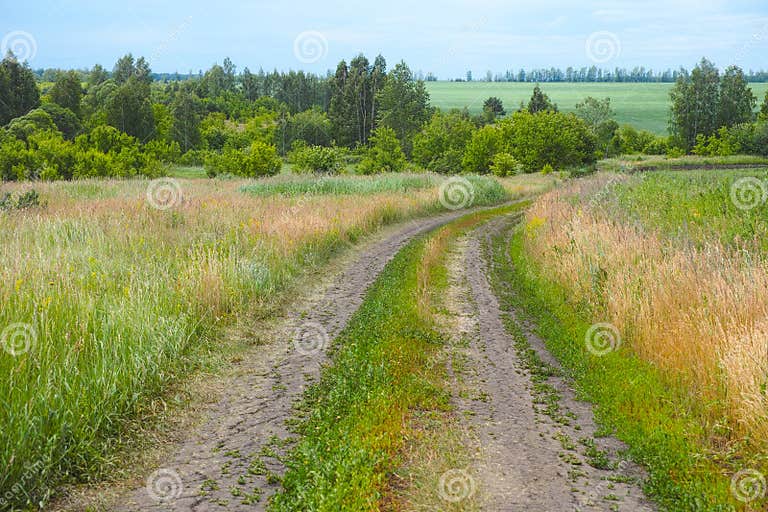 Road Going through a Field of Grass in a Rural Area Stock Image - Image ...