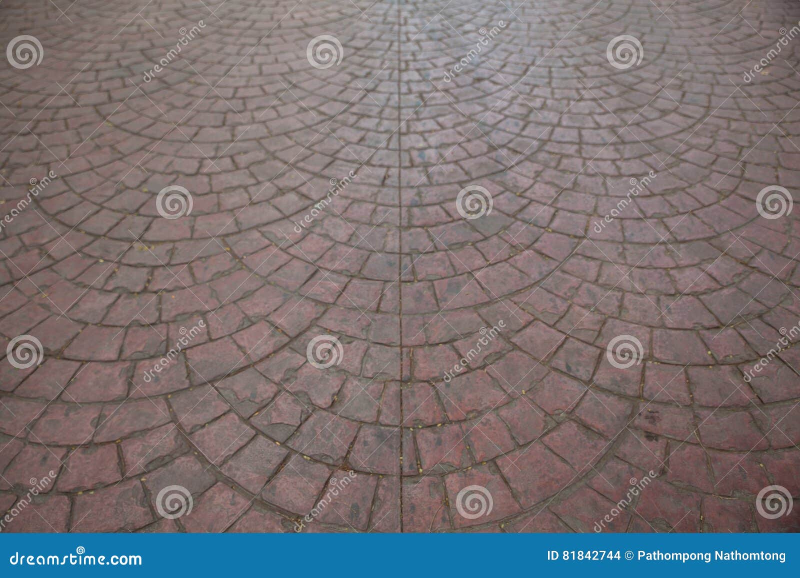 Road gray worm brick stock photo. Image of worm, brickn - 81842744