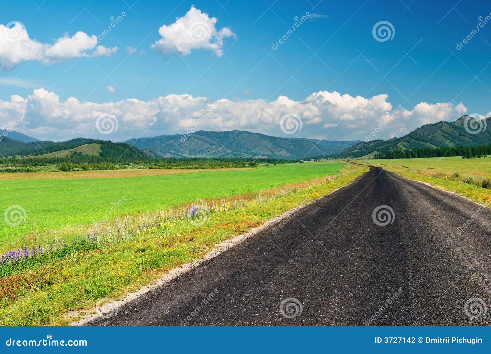 Road and green field stock photo. Image of meadow, environment - 3727142