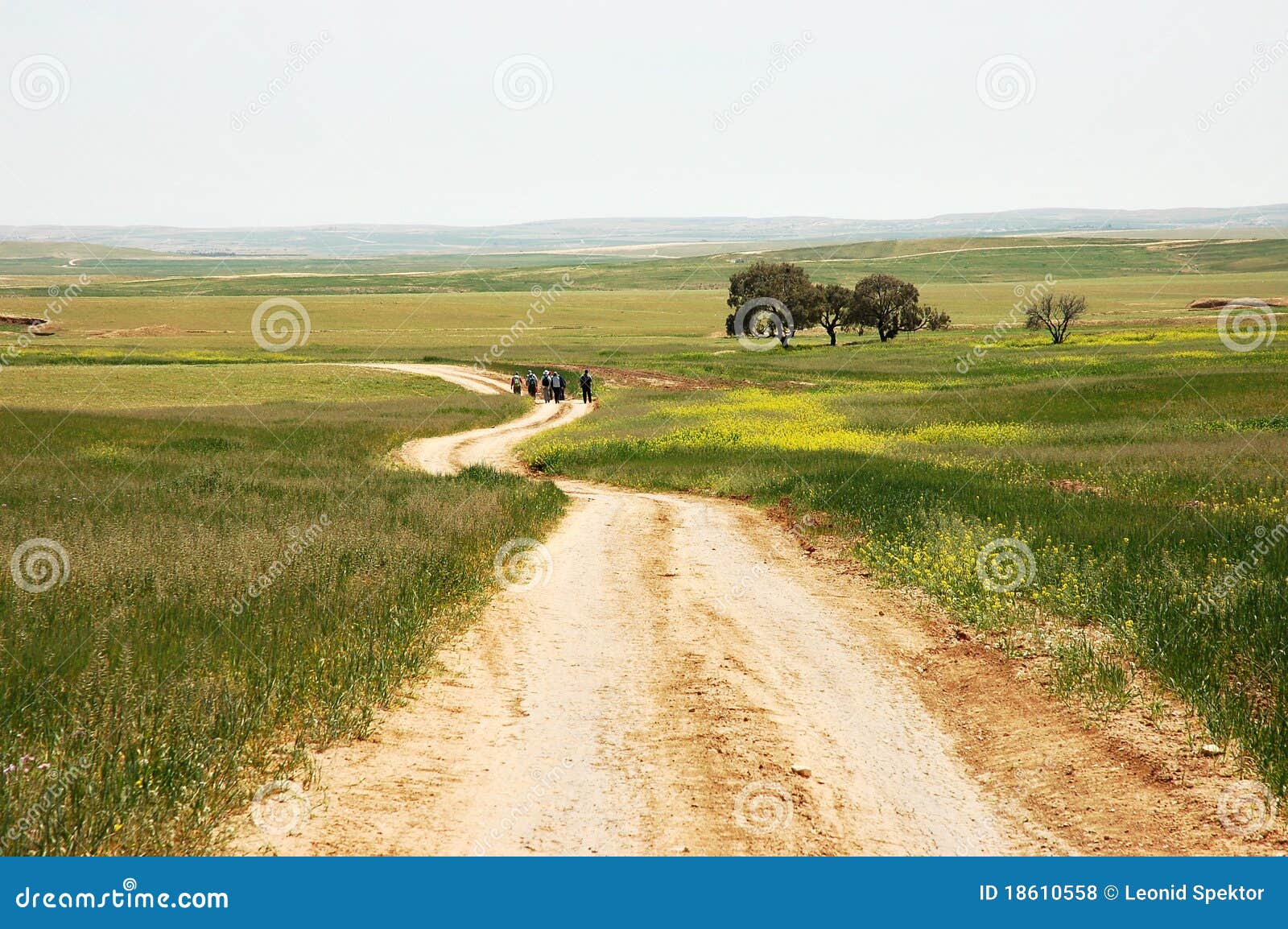 Road and Green Field Landscape. Stock Photo - Image of farm, meadow ...