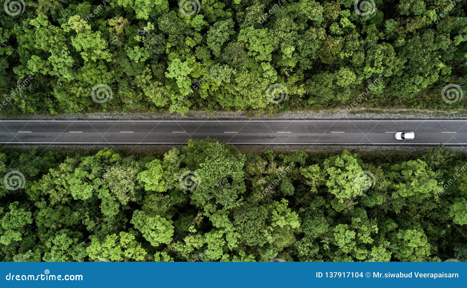 Road through the Green Forest, Aerial View Road Going through Forest ...