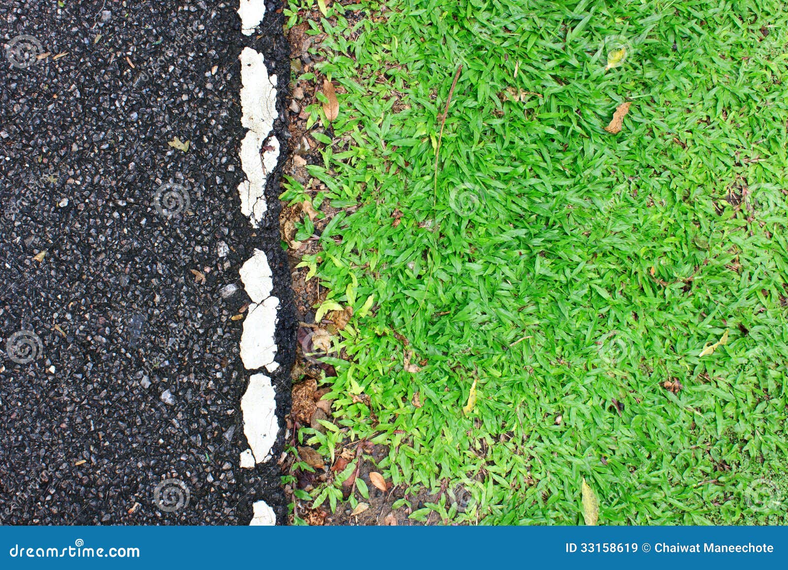 The road with green grass stock image. Image of road - 33158619