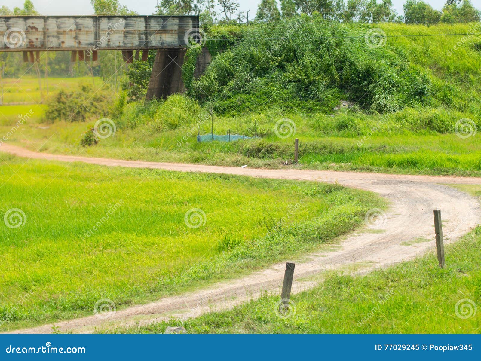Road on green grass field stock image. Image of nature - 77029245