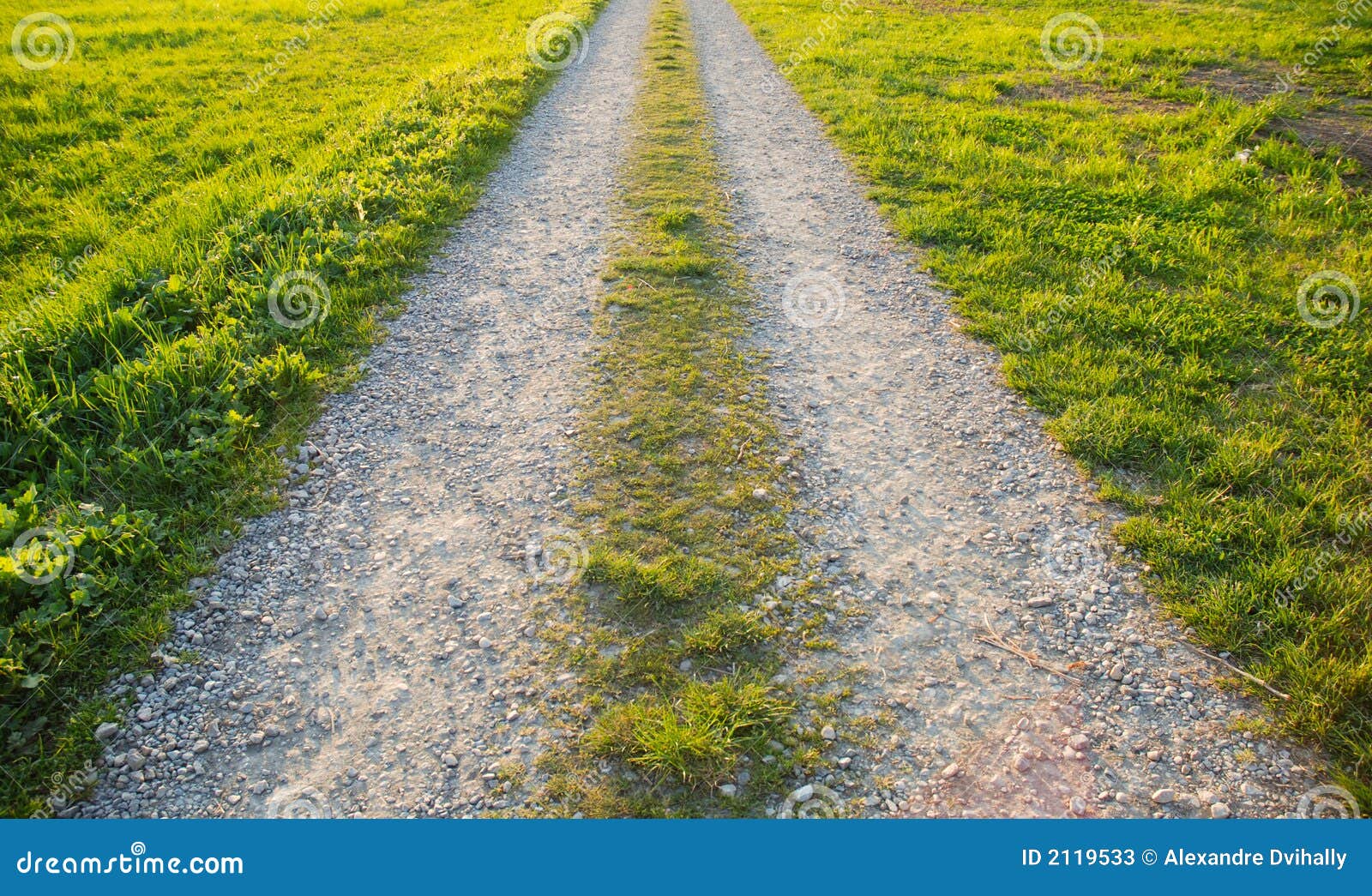 On the Road - Green Grass Road Stock Image - Image of curving, sicily ...
