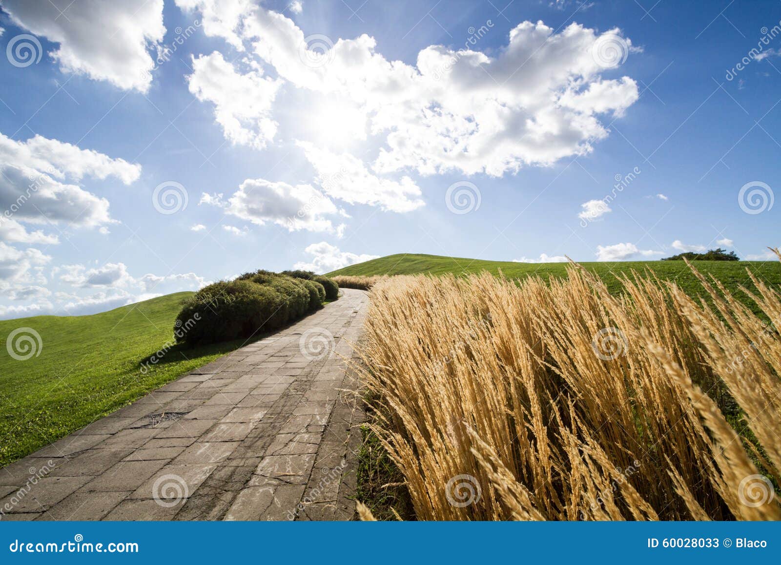 Road on a green hill stock image. Image of clean, view - 60028033
