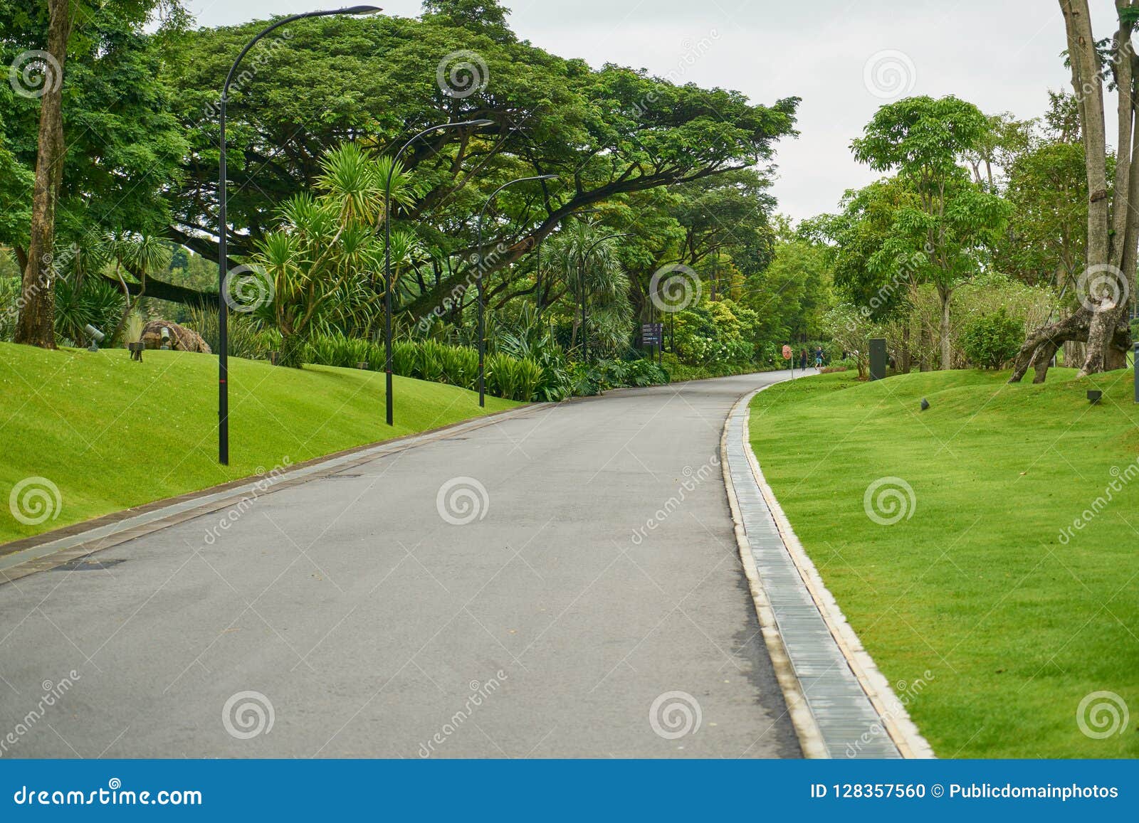 Road, Green, Nature, Tree Picture. Image: 128357560