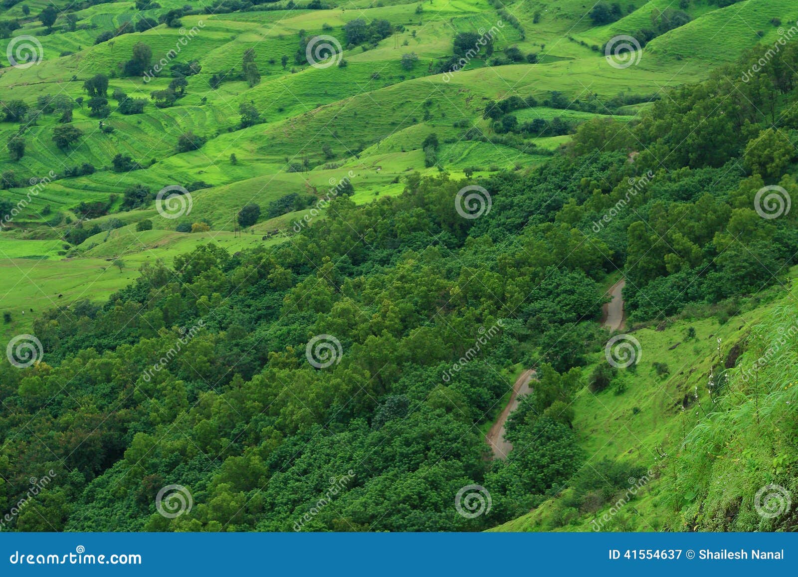 Road through a Green Prosperity Stock Image - Image of himalayan, range ...