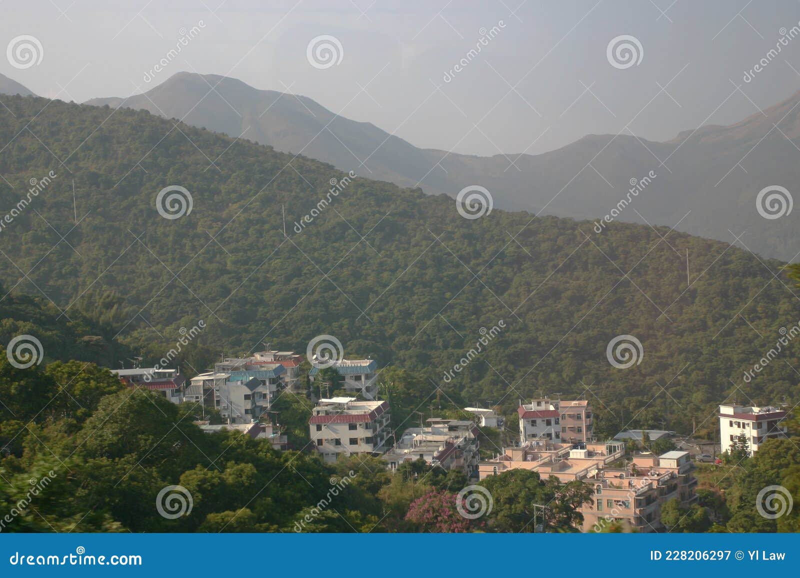 Road and Green Tree in Countryside at Hong Kong 26 Dec 2004 Editorial ...