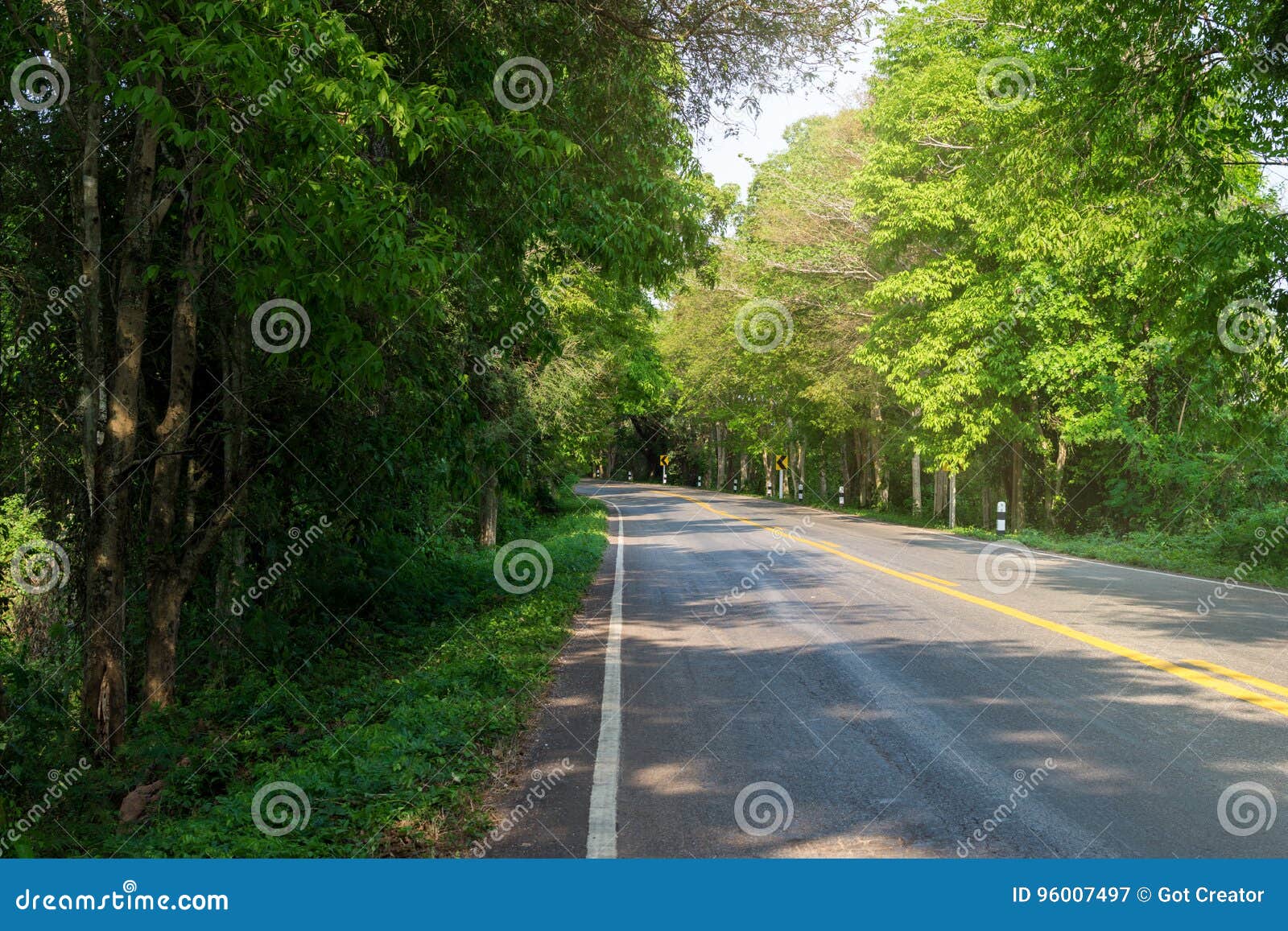 Road with Green Trees Around and Leaning Trees Over the Road Stock ...