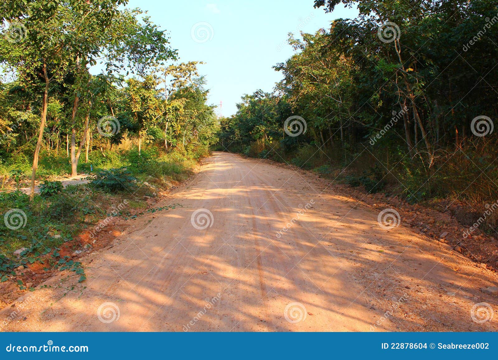 Road ground stock photo. Image of herb, lawn, ground - 22878604