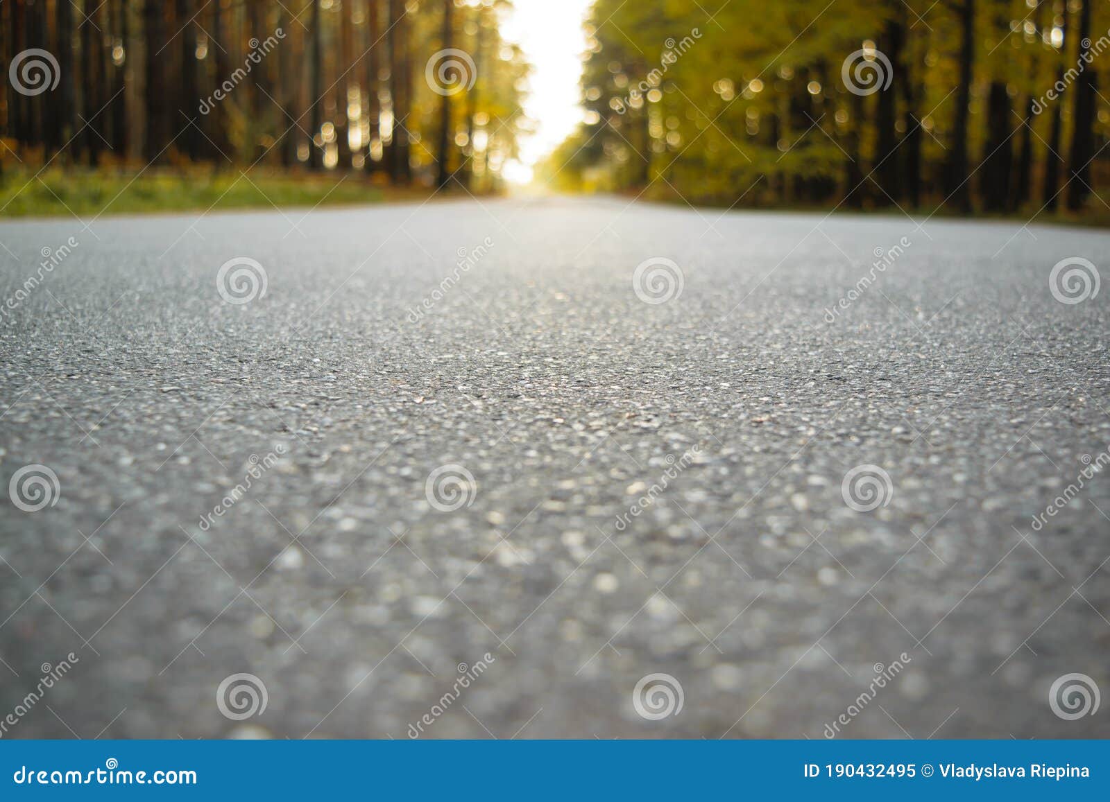 Road from the Ground Level - Shallow Depth of Field and Trees Bokeh ...
