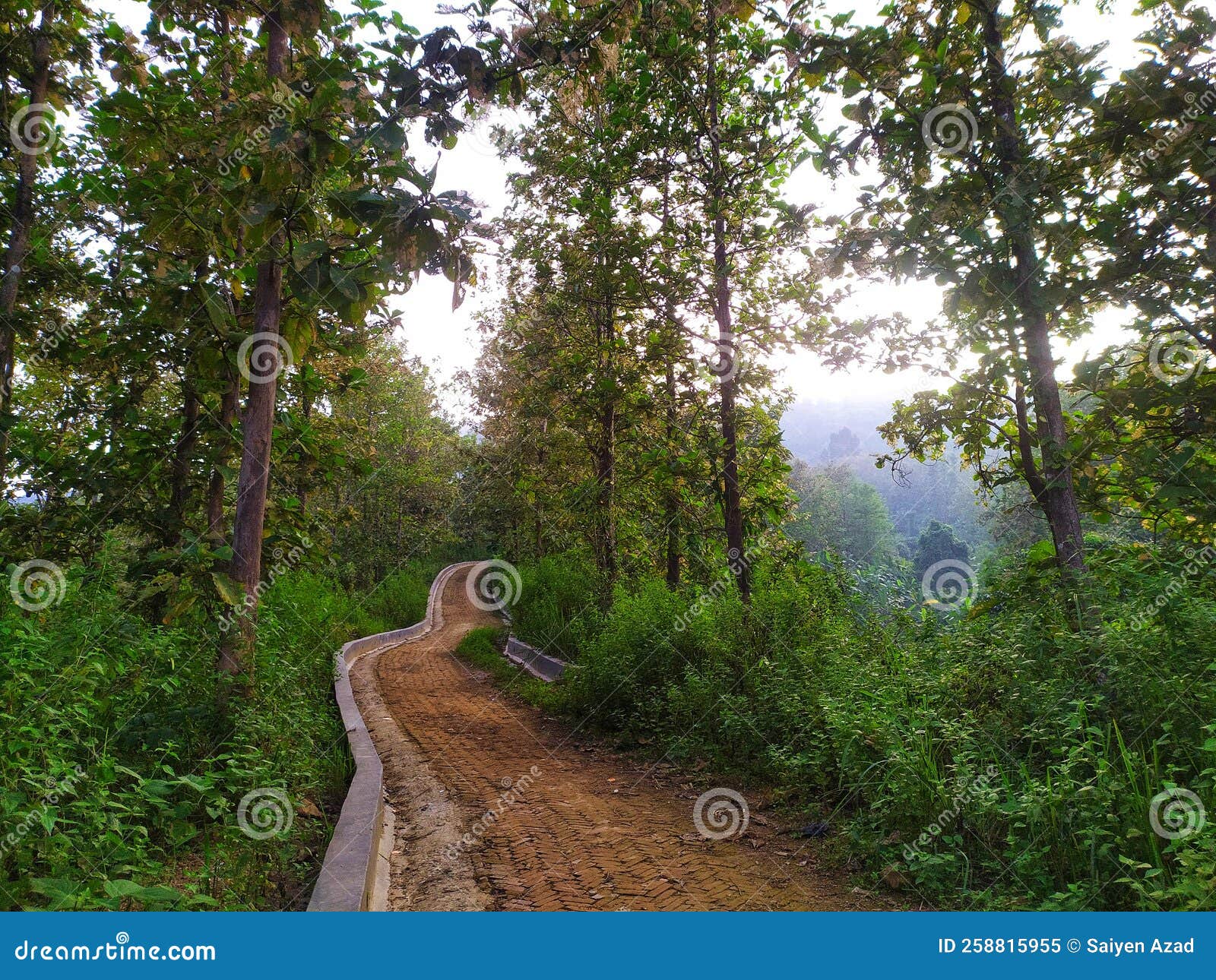 Road of Heaven stock image. Image of autumn, sunlight - 258815955