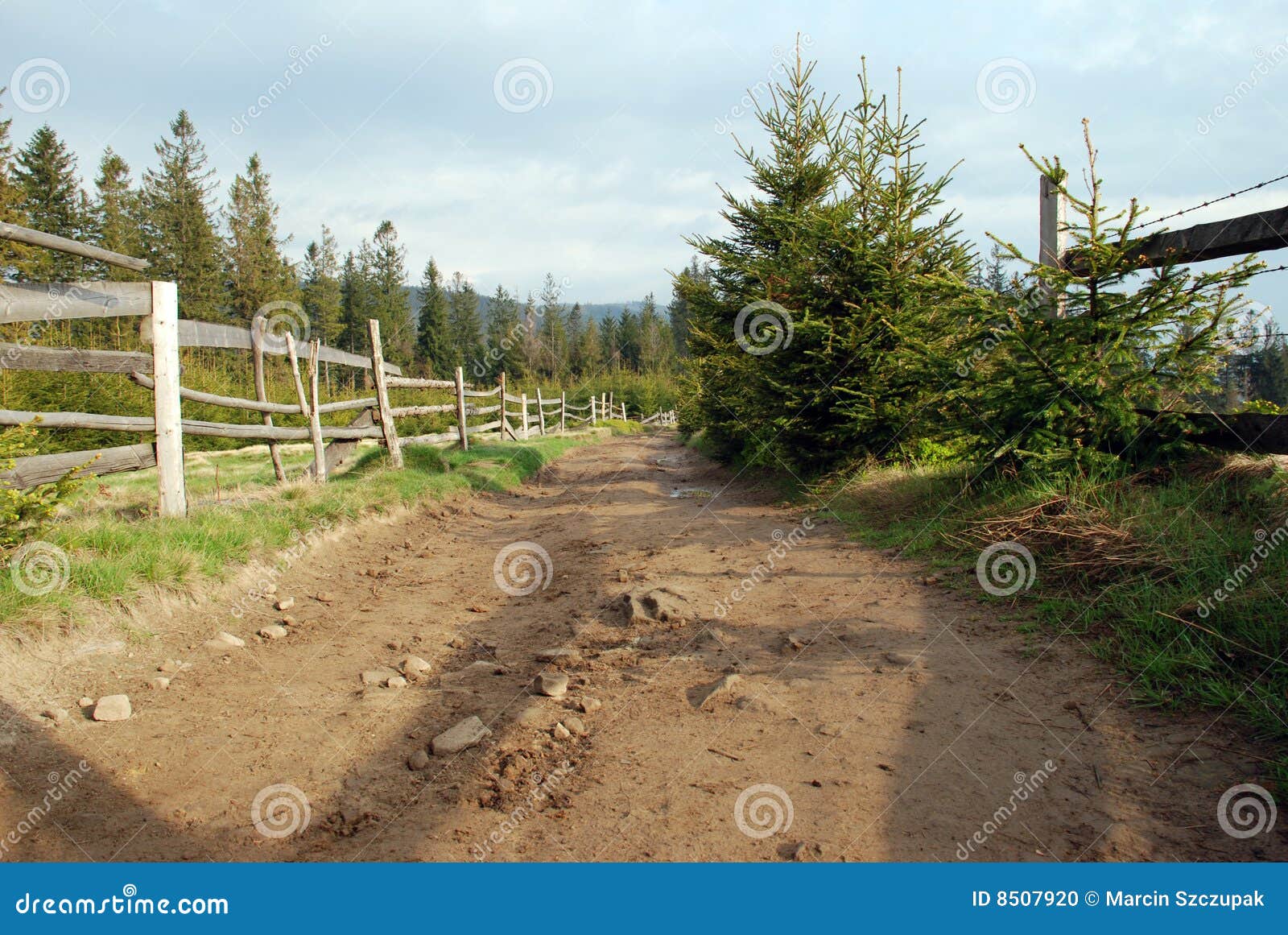 Road and hedge stock photo. Image of rural, mountain, fence - 8507920