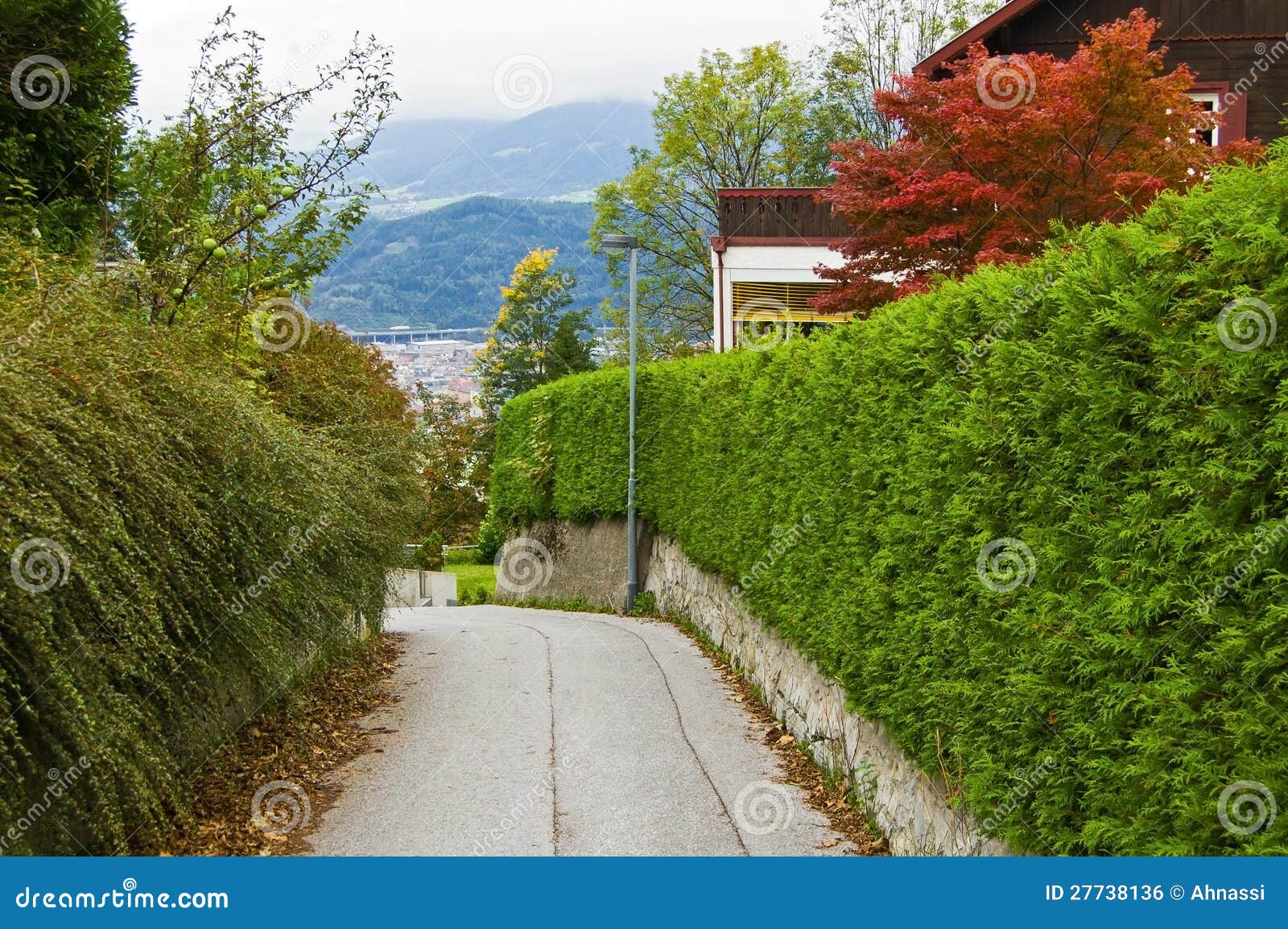 A road between hedges stock photo. Image of village, path - 27738136