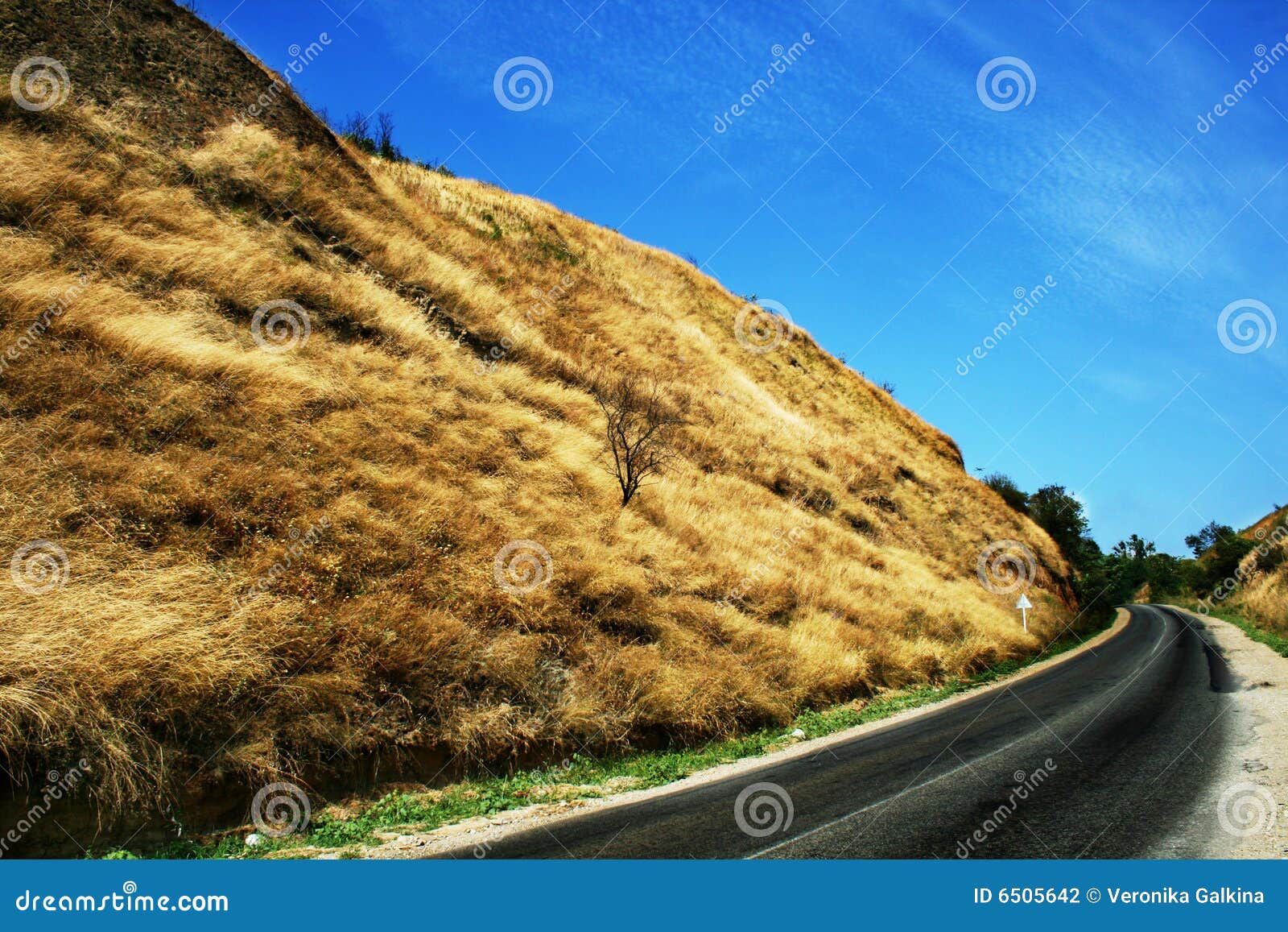 Road in hills stock photo. Image of asphalt, corn, rural - 6505642