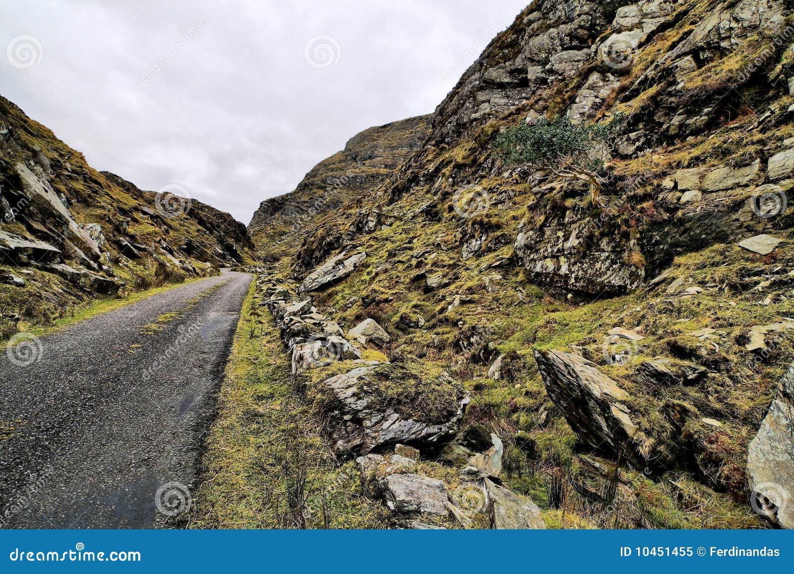 Road in Hills of Dingle Peninsula Stock Image - Image of scenery ...