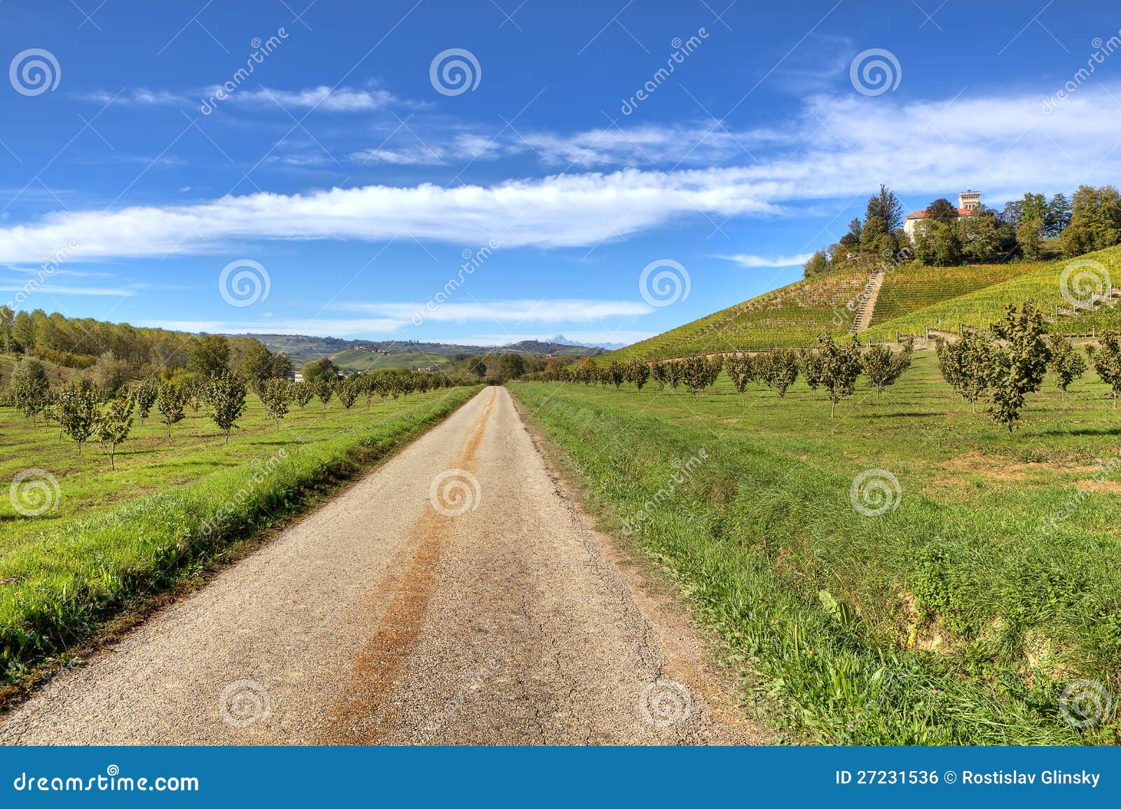 Road through the Hills and Fields. Stock Photo - Image of piedmont ...