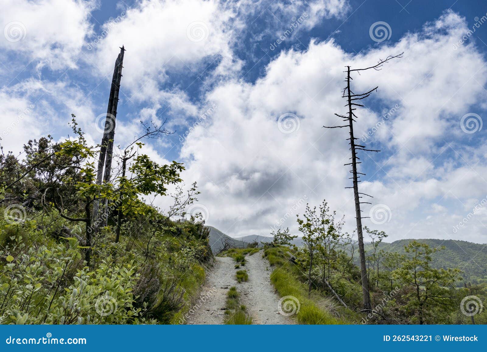 Road on the Hillside in the Countryside Stock Image - Image of nature ...
