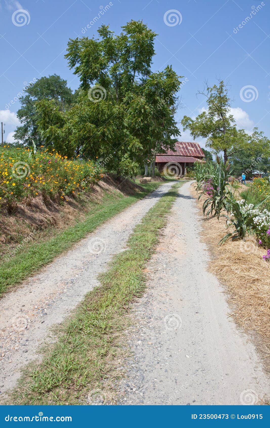 The Road Home stock image. Image of nature, quiet, country - 23500473