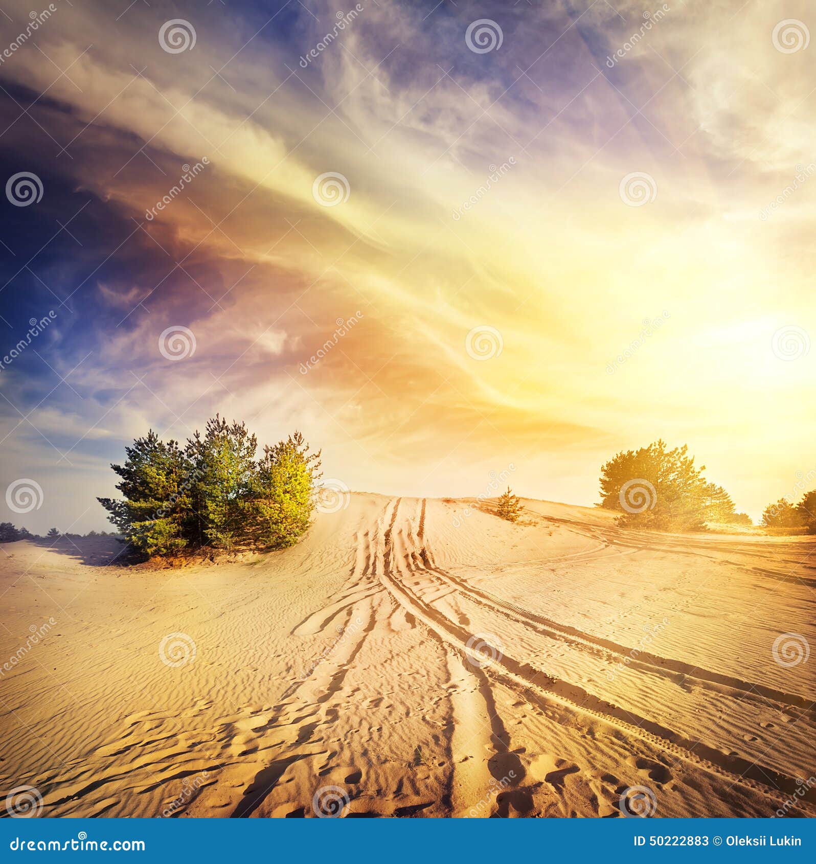 78,462 Road Desert Sand Stock Photos - Free & Royalty-Free Stock Photos ...