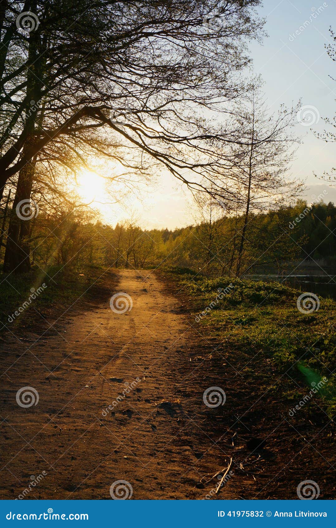 The Road Illuminated by the Light of the Setting Sun Stock Photo ...