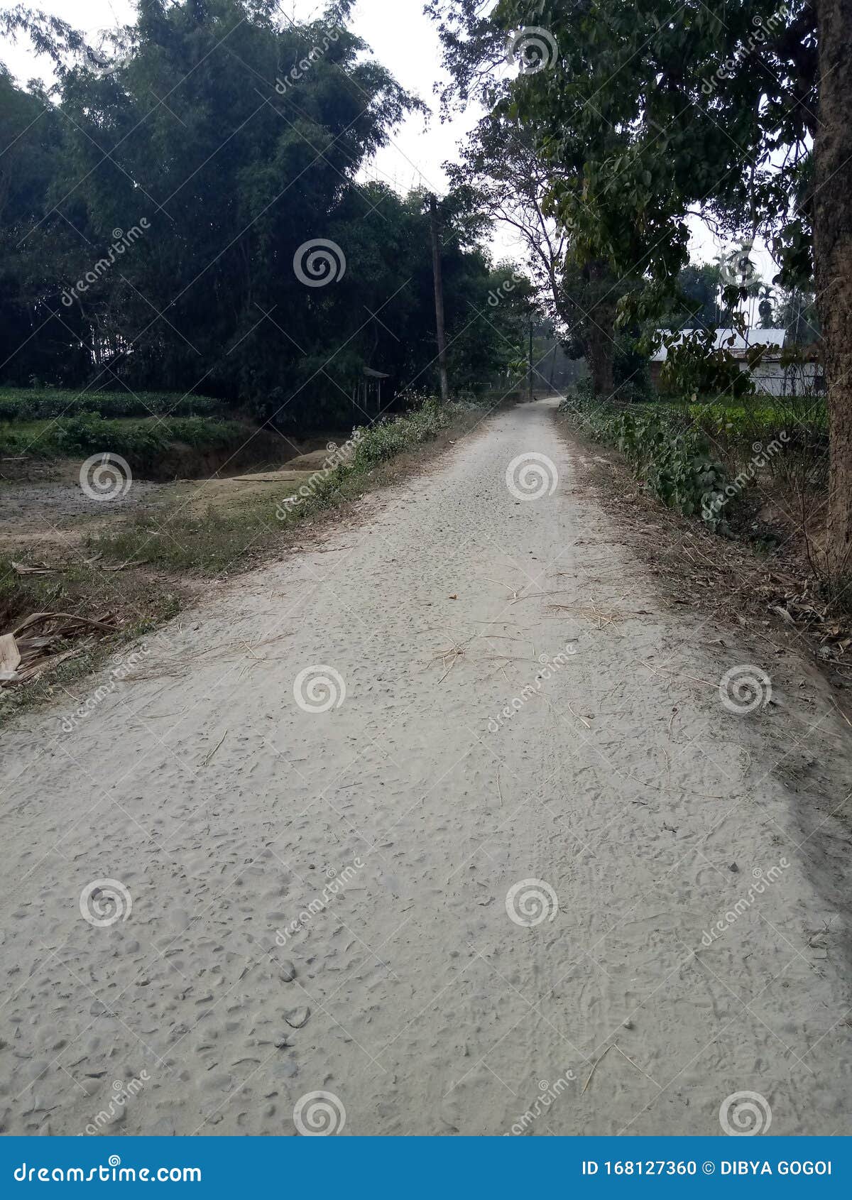 The road of indian goan stock photo. Image of tiny, indian - 168127360