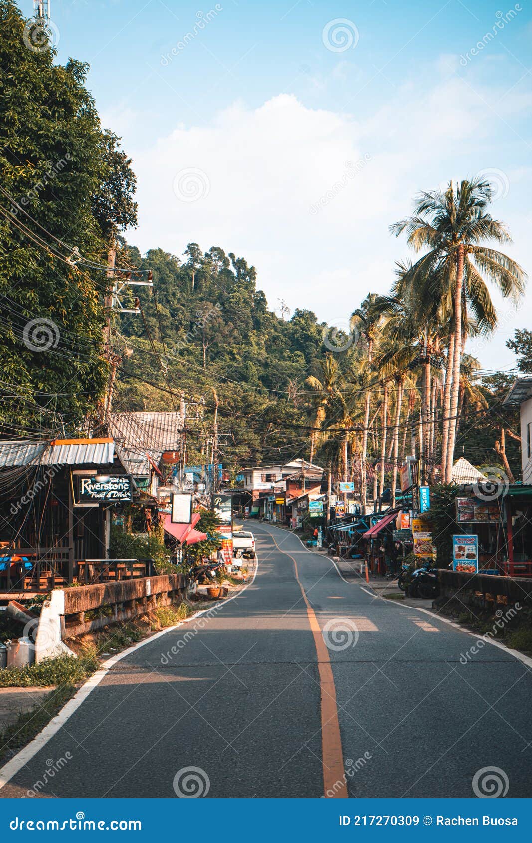 The road on the island editorial stock image. Image of landscape ...