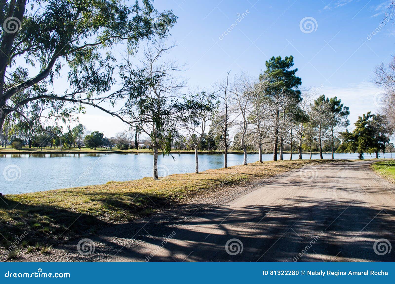 Road beside stock photo. Image of landscape, lake, trees - 81322280