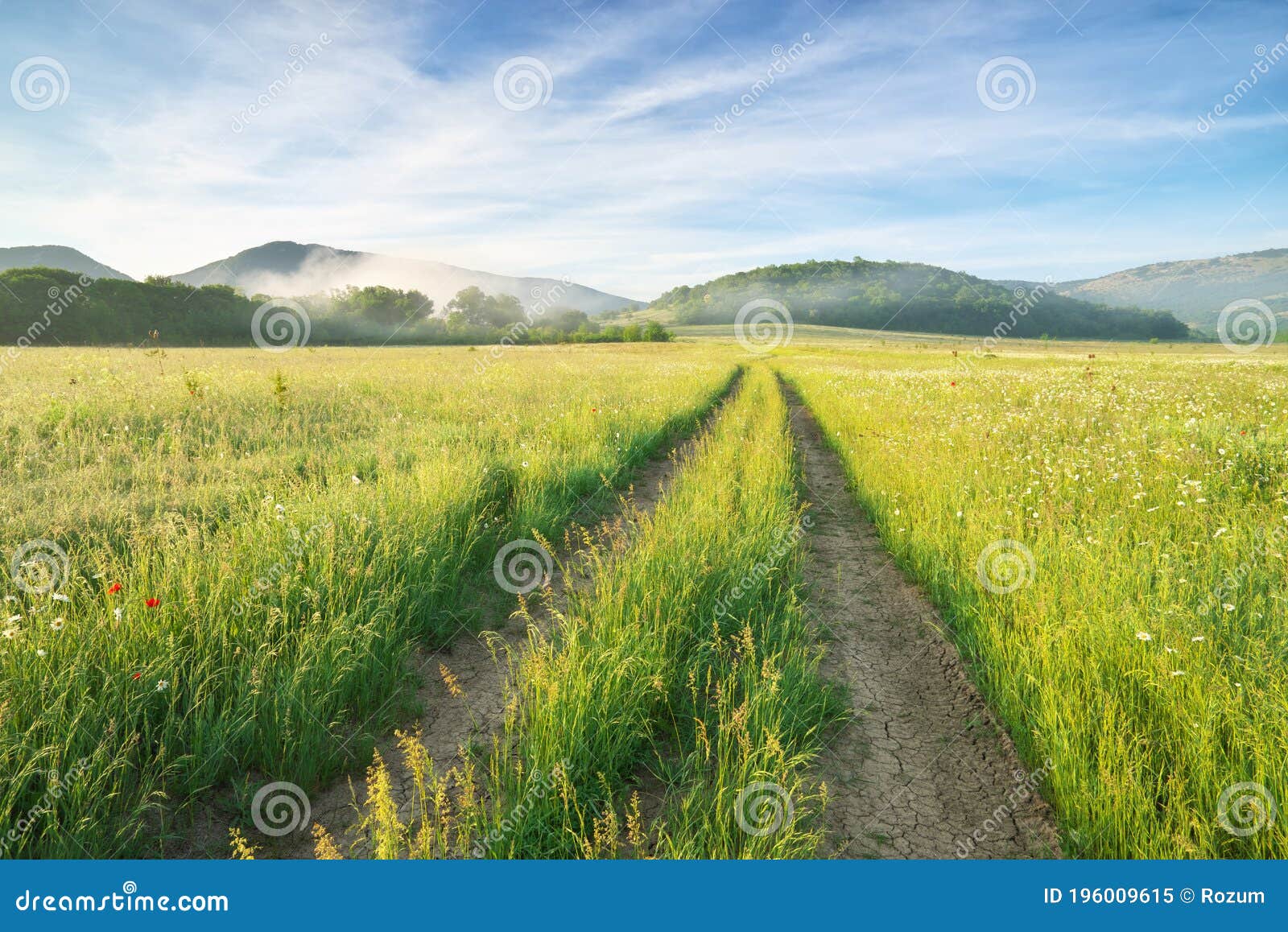 Road Lane in Spring Mountain Stock Image - Image of country, fresh ...