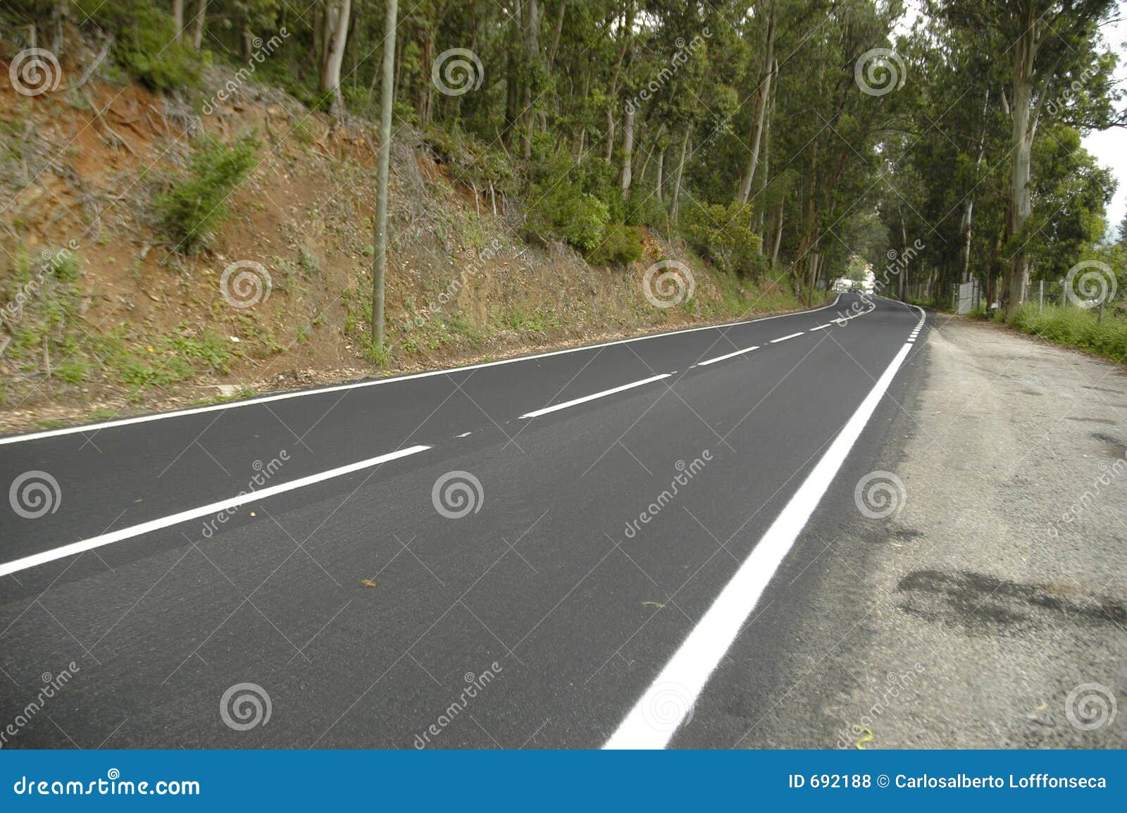 Road Lanes Division stock photo. Image of bykes, night - 692188