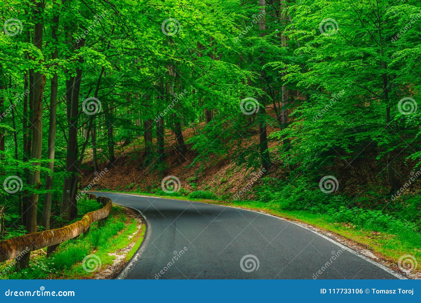 A road among greenery stock photo. Image of asphalt - 117733106