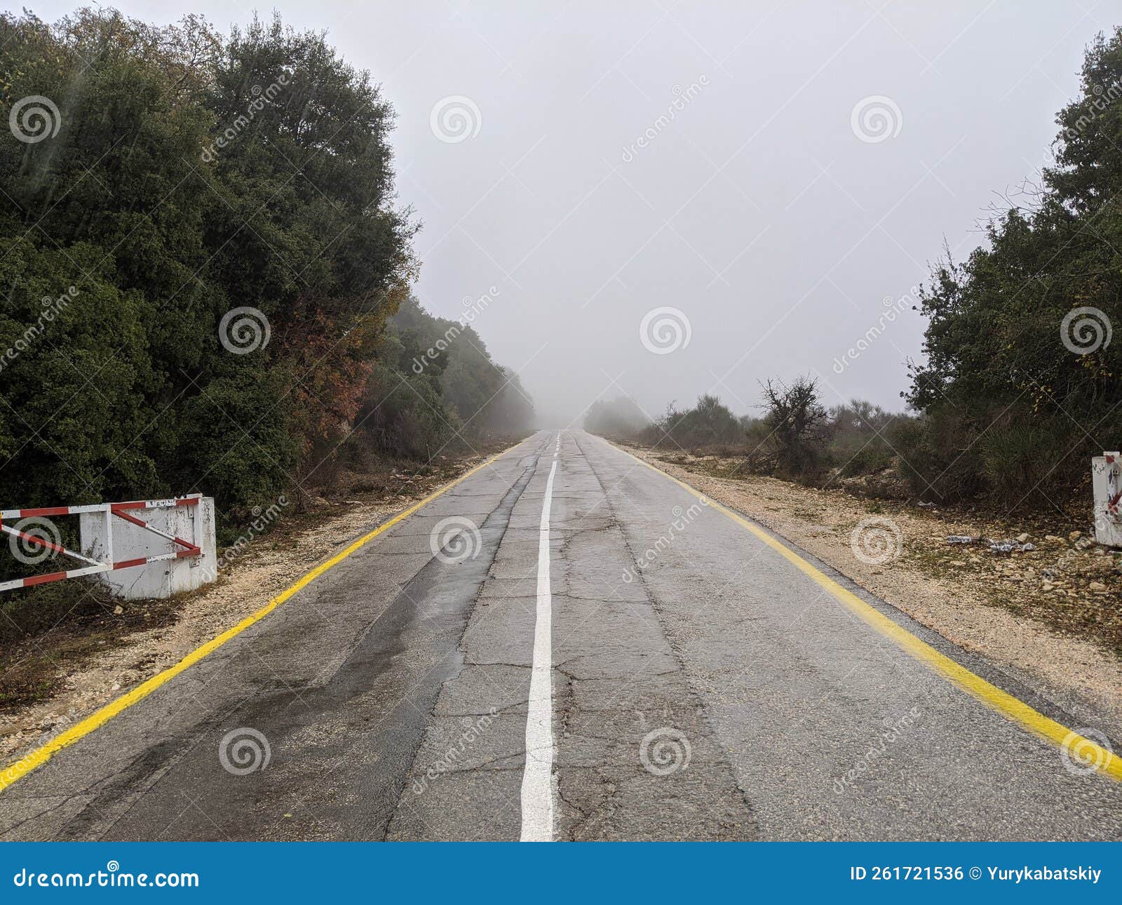 Road leading into the fog stock photo. Image of outdoor - 261721536