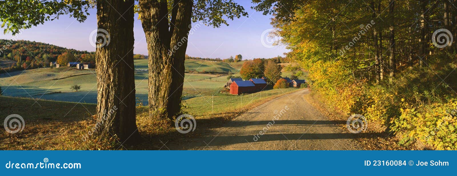 Jenny Farm Royalty-Free Stock Photo | CartoonDealer.com #64162389