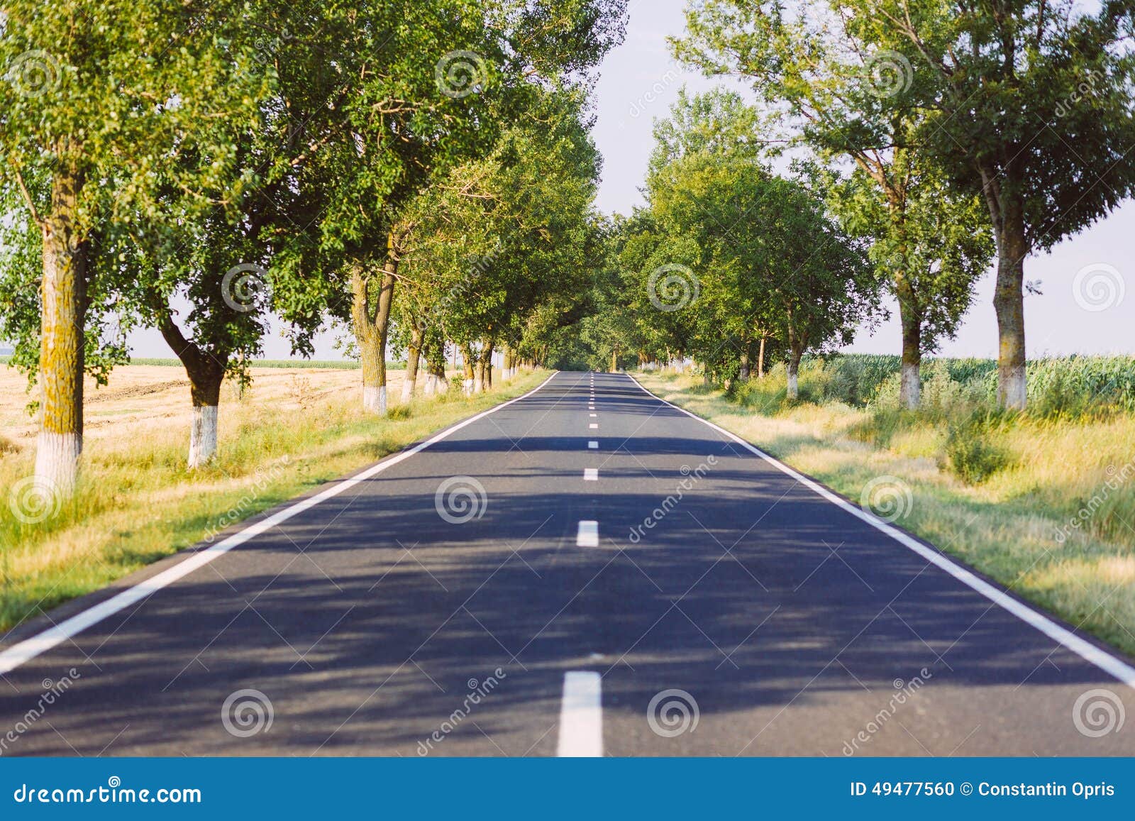 Road Leading Straight Forward Stock Photo - Image of leading, straight ...