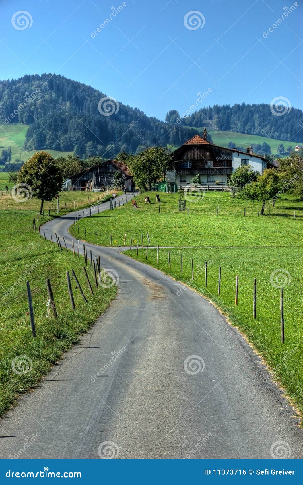 Road Leading To a House stock photo. Image of switzerland - 11373716