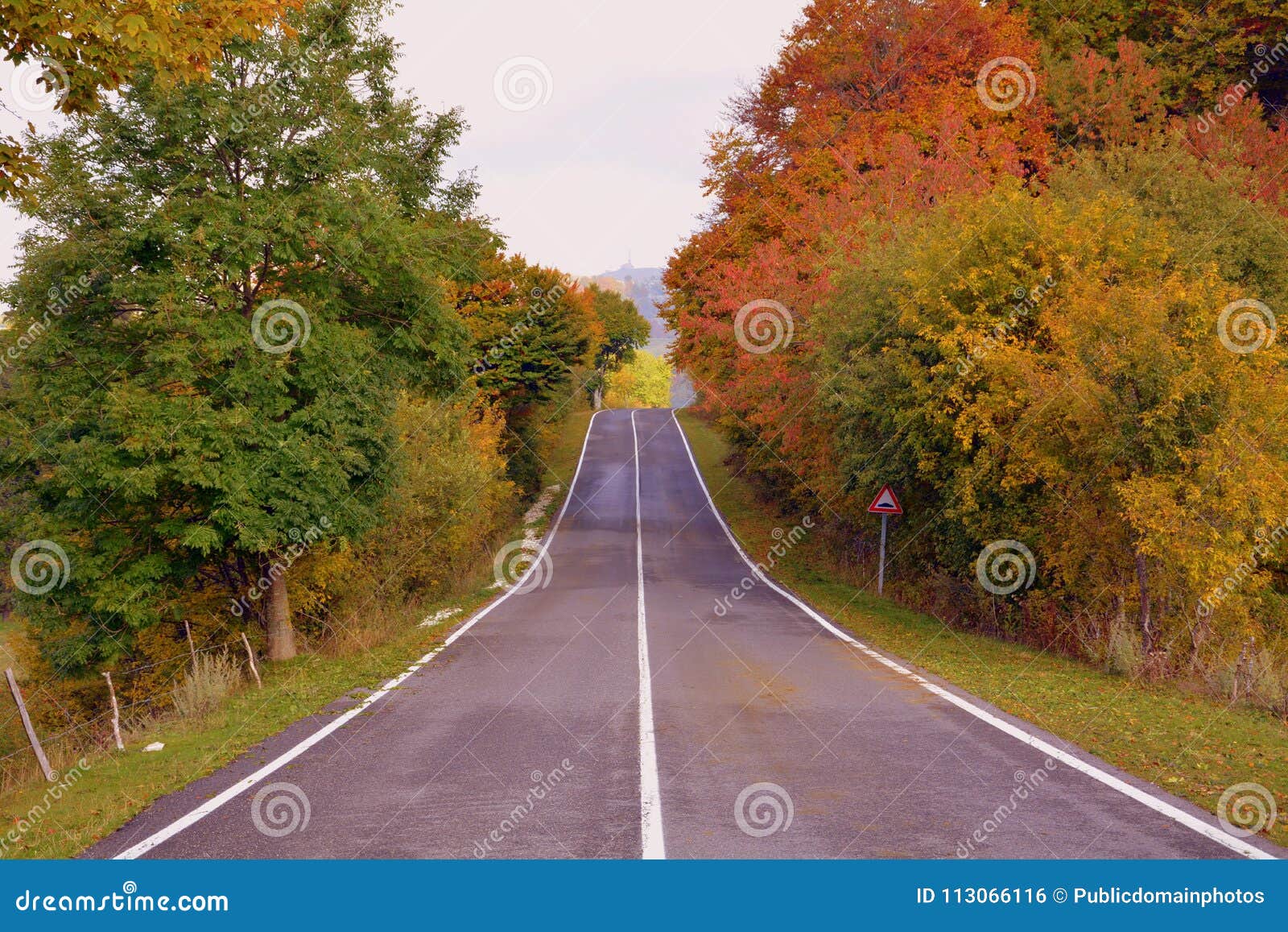 Road, Leaf, Nature, Autumn Picture. Image: 113066116