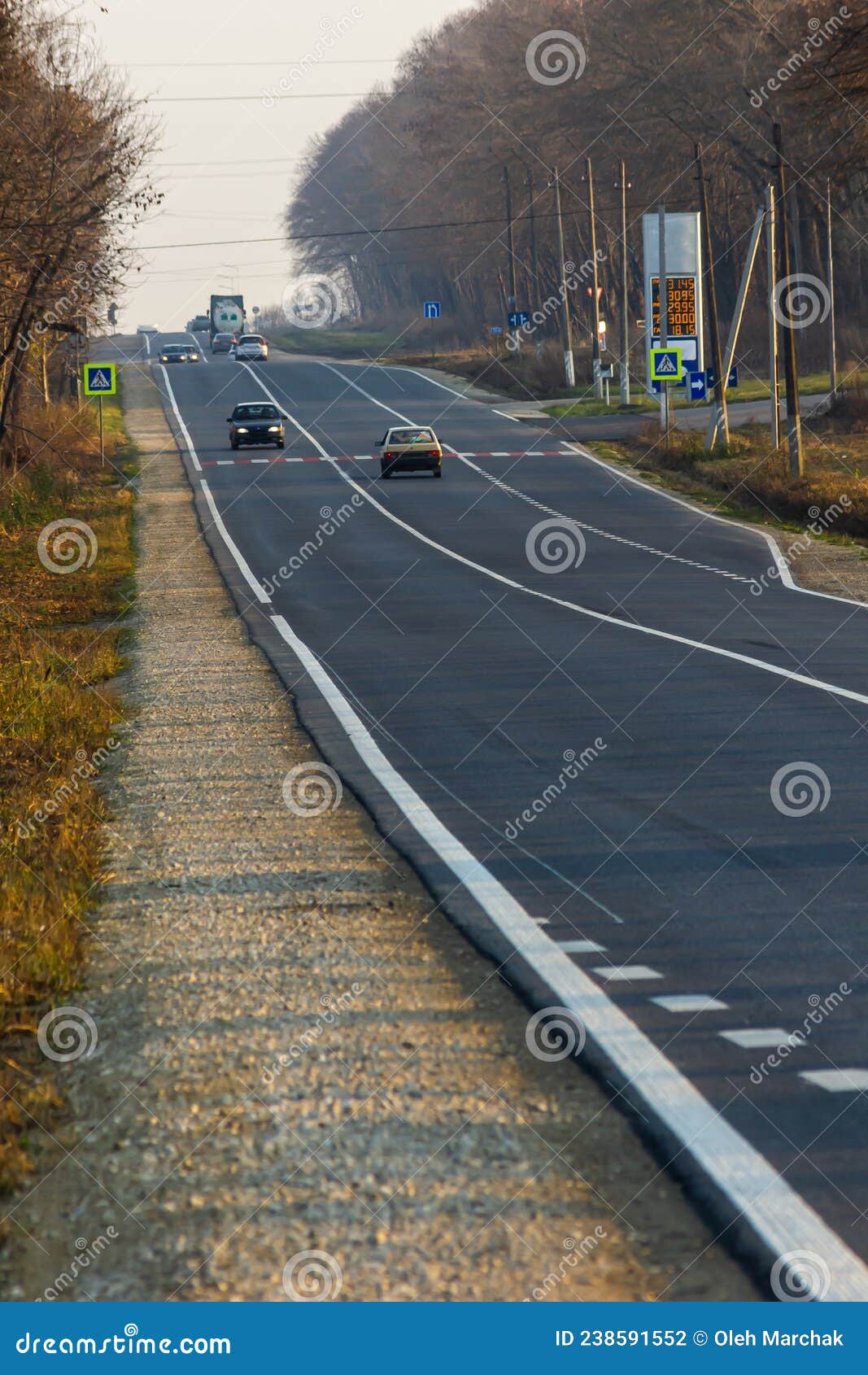 Road Lined with Autumn Trees. Cross Hatching Road Marks Line the Centre ...