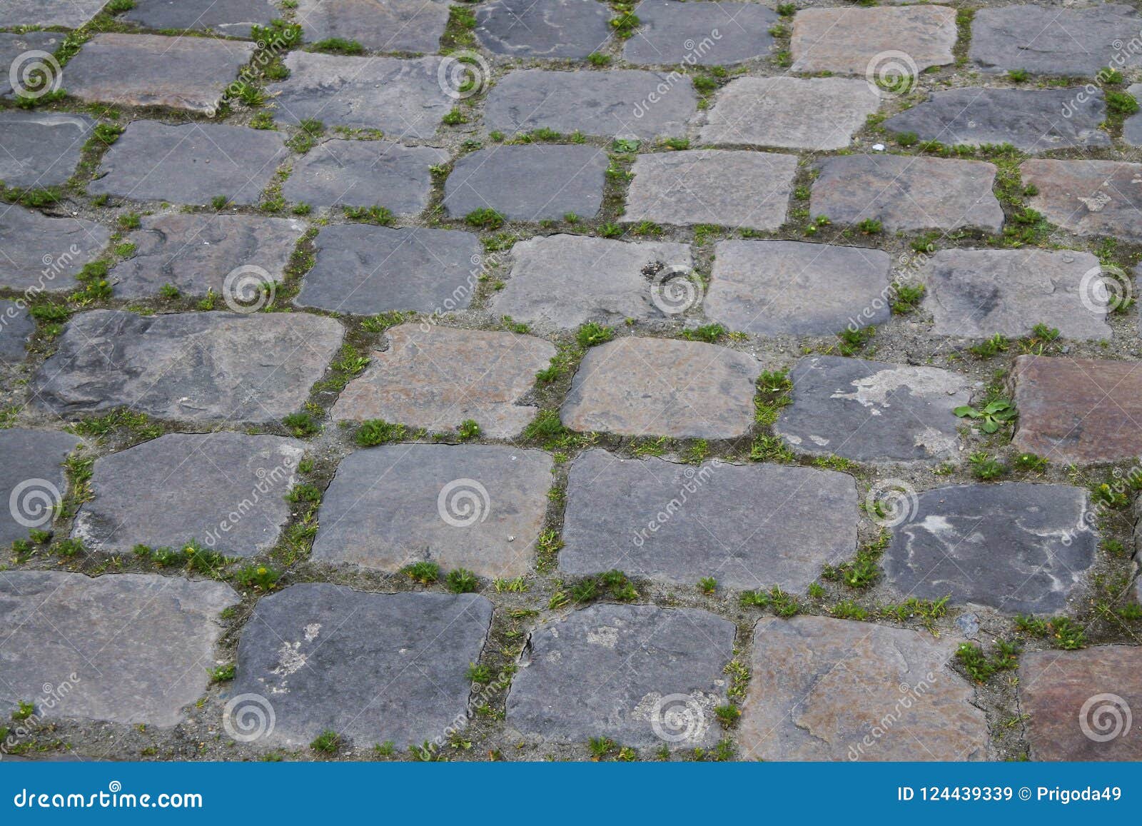 This Road Is Made By Bricks. Stock Image | CartoonDealer.com #224005705