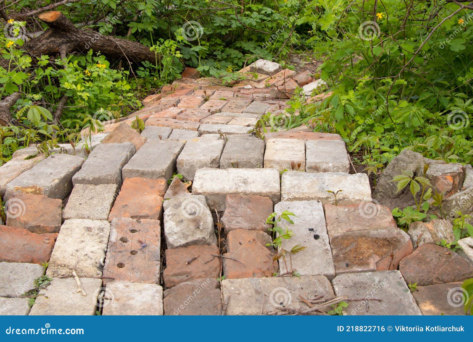 Road Made of Old Brick in the Forest in Spring in the Sun Stock Photo ...