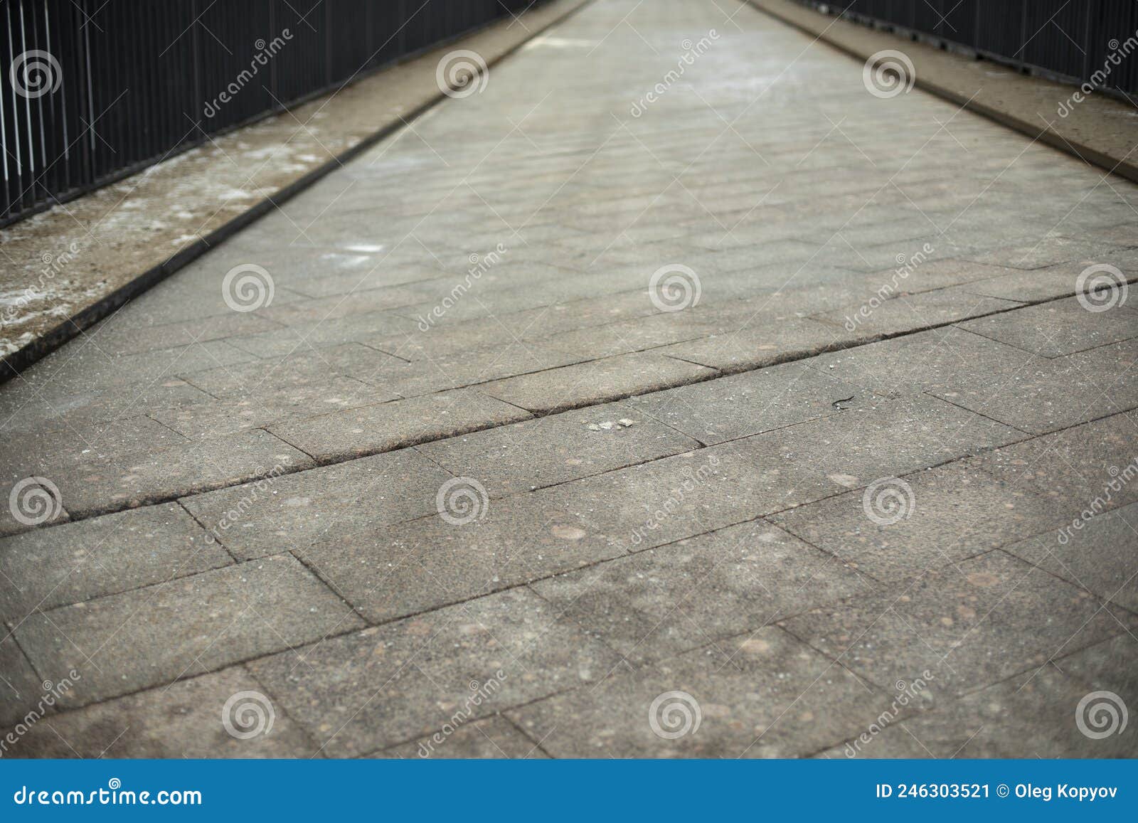 Road is Made of Tiles. Pedestrian Area Stock Image - Image of grass ...