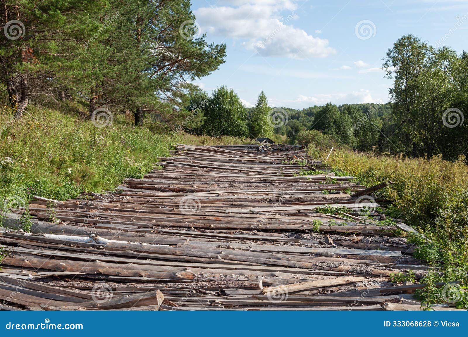 Road Made of Wooden Poles in Forest Stock Photo - Image of track ...