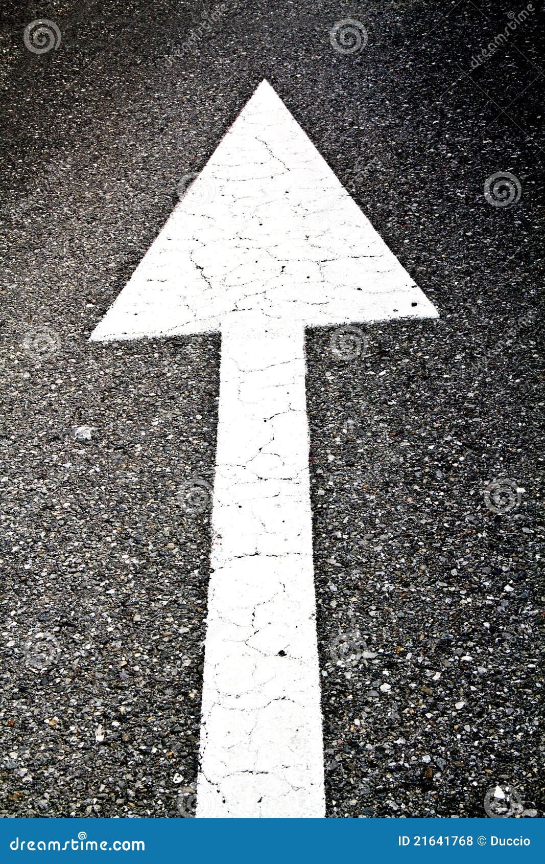 Road marking arrows stock photo. Image of highway, tarmac - 21641768