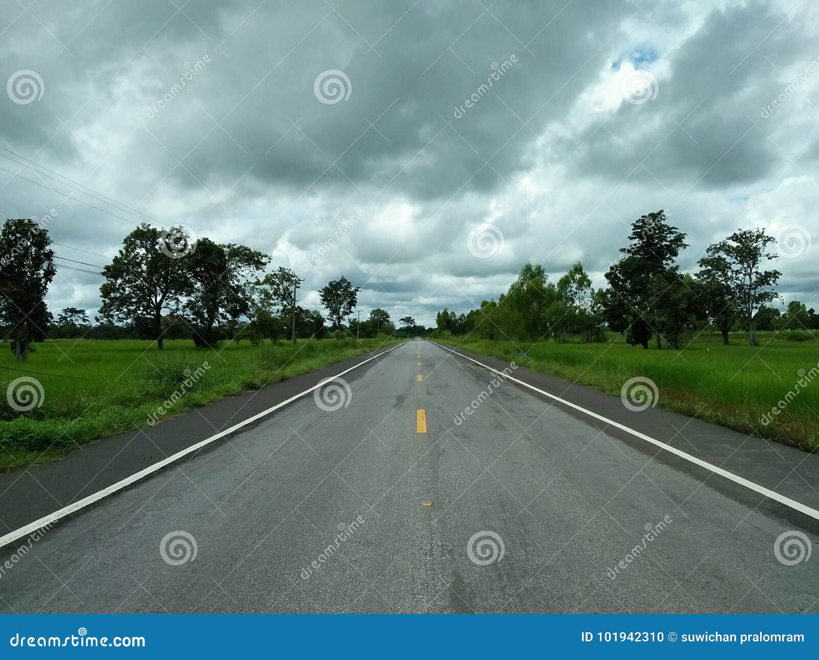 Road marking stock photo. Image of streak, thermoplastic - 101942310