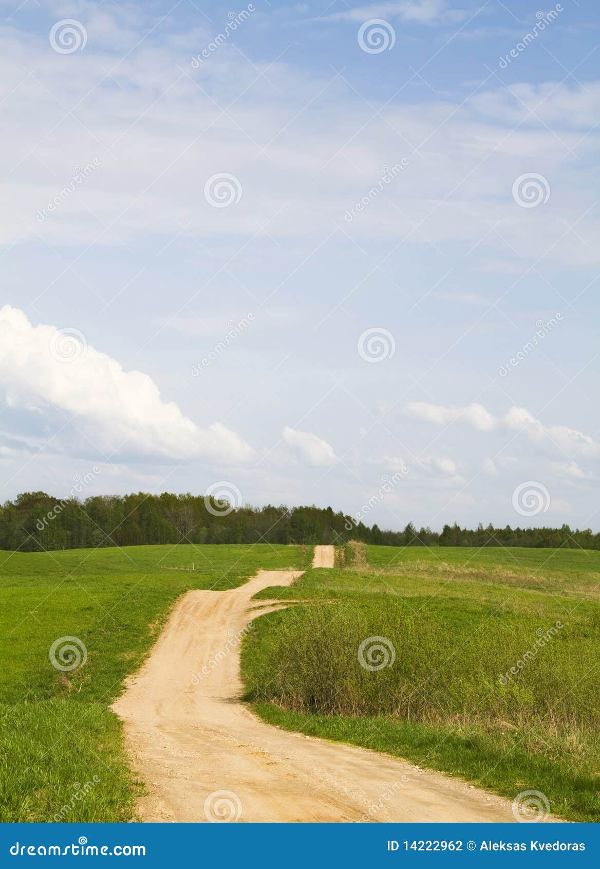 Road through the meadow stock photo. Image of clear, rural - 14222962