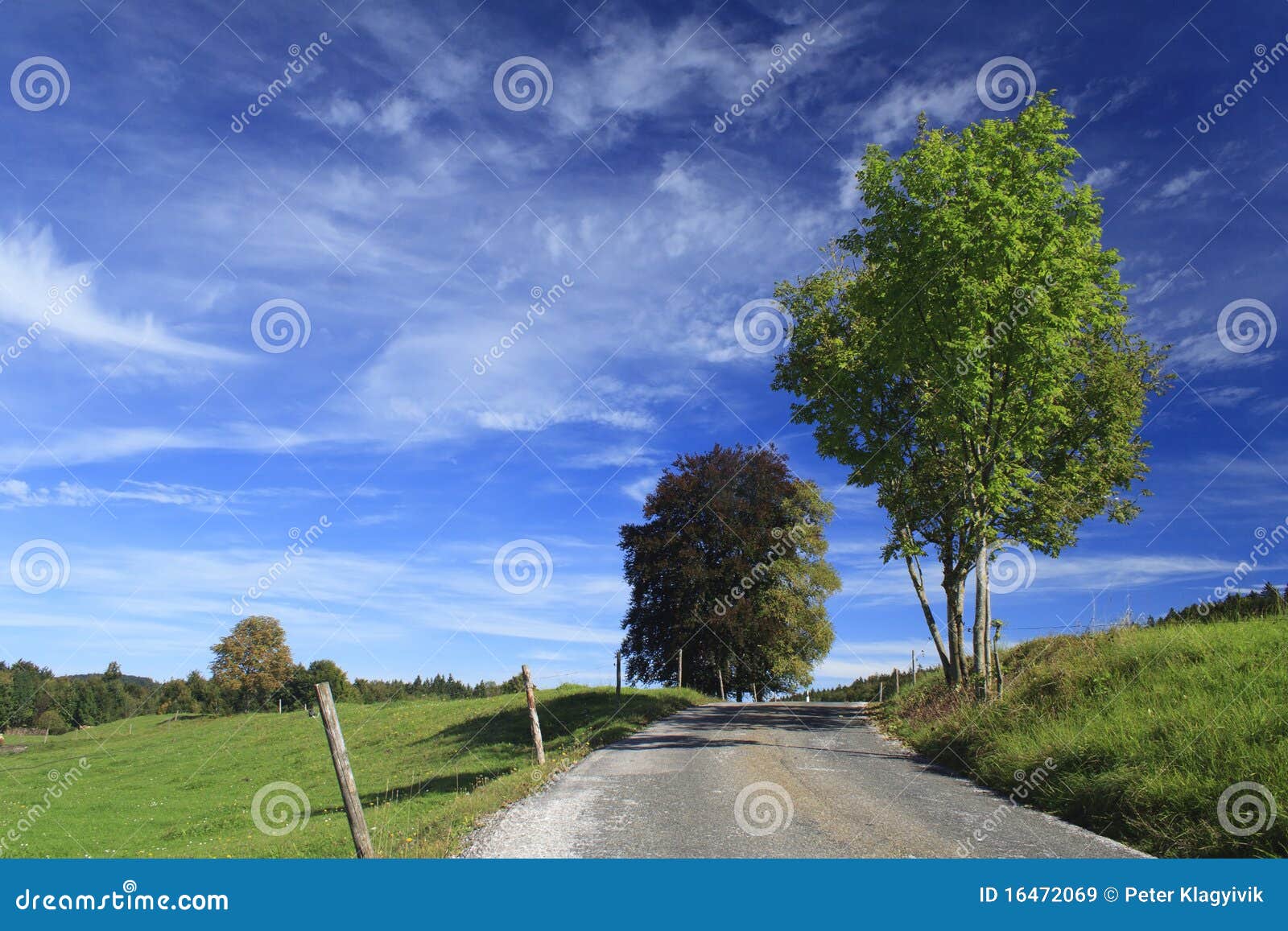 Road in a meadow stock image. Image of horizon, bush - 16472069