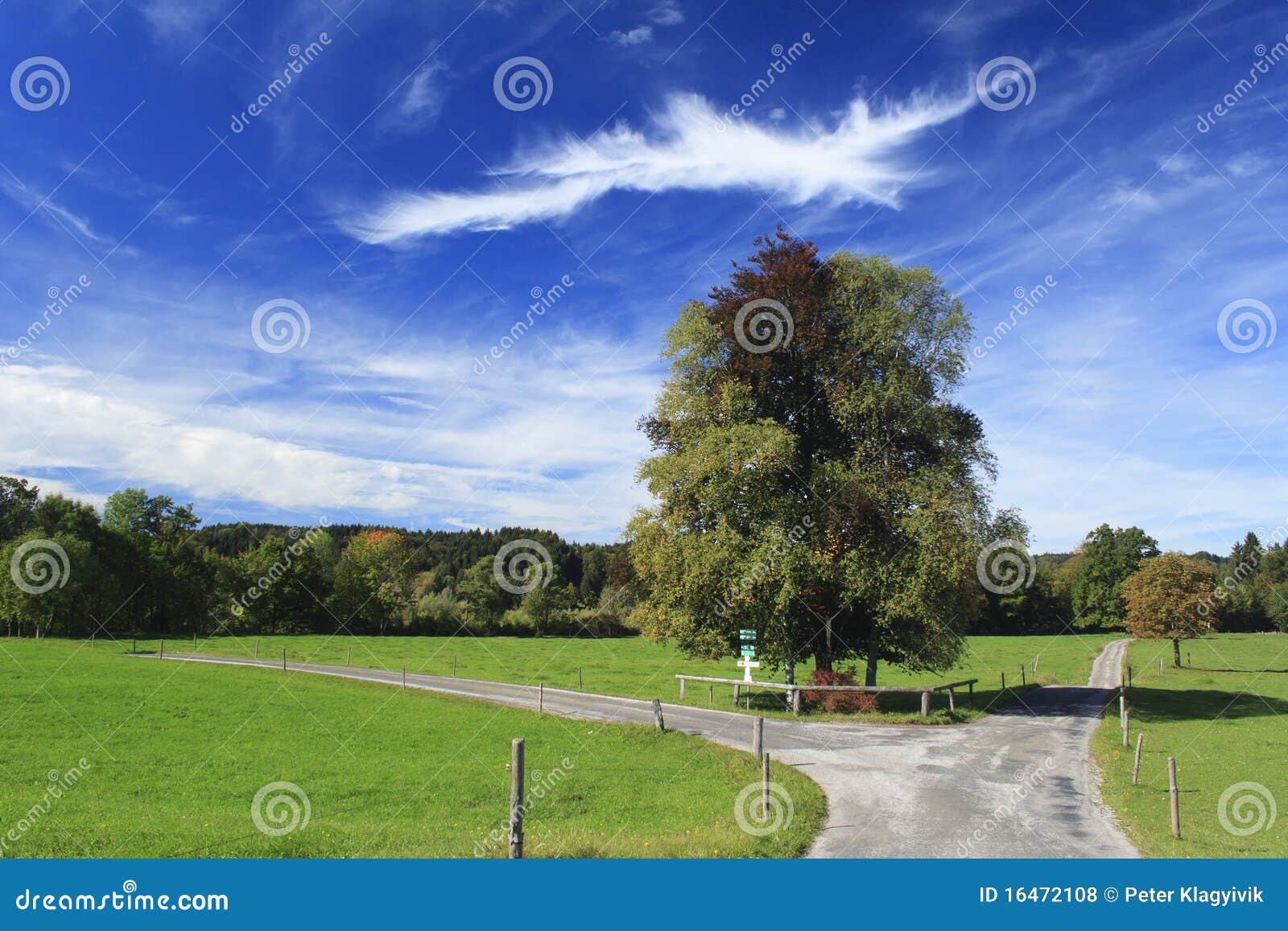 Road in a meadow stock photo. Image of idyllic, journey - 16472108