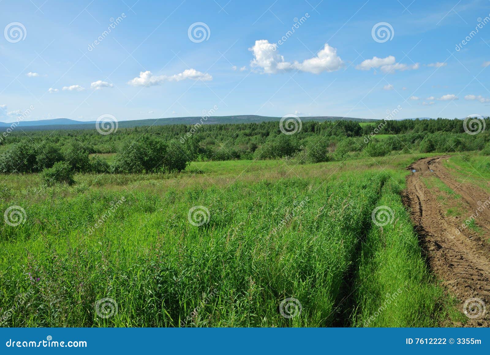 Road through meadow stock photo. Image of meadow, dirt - 7612222