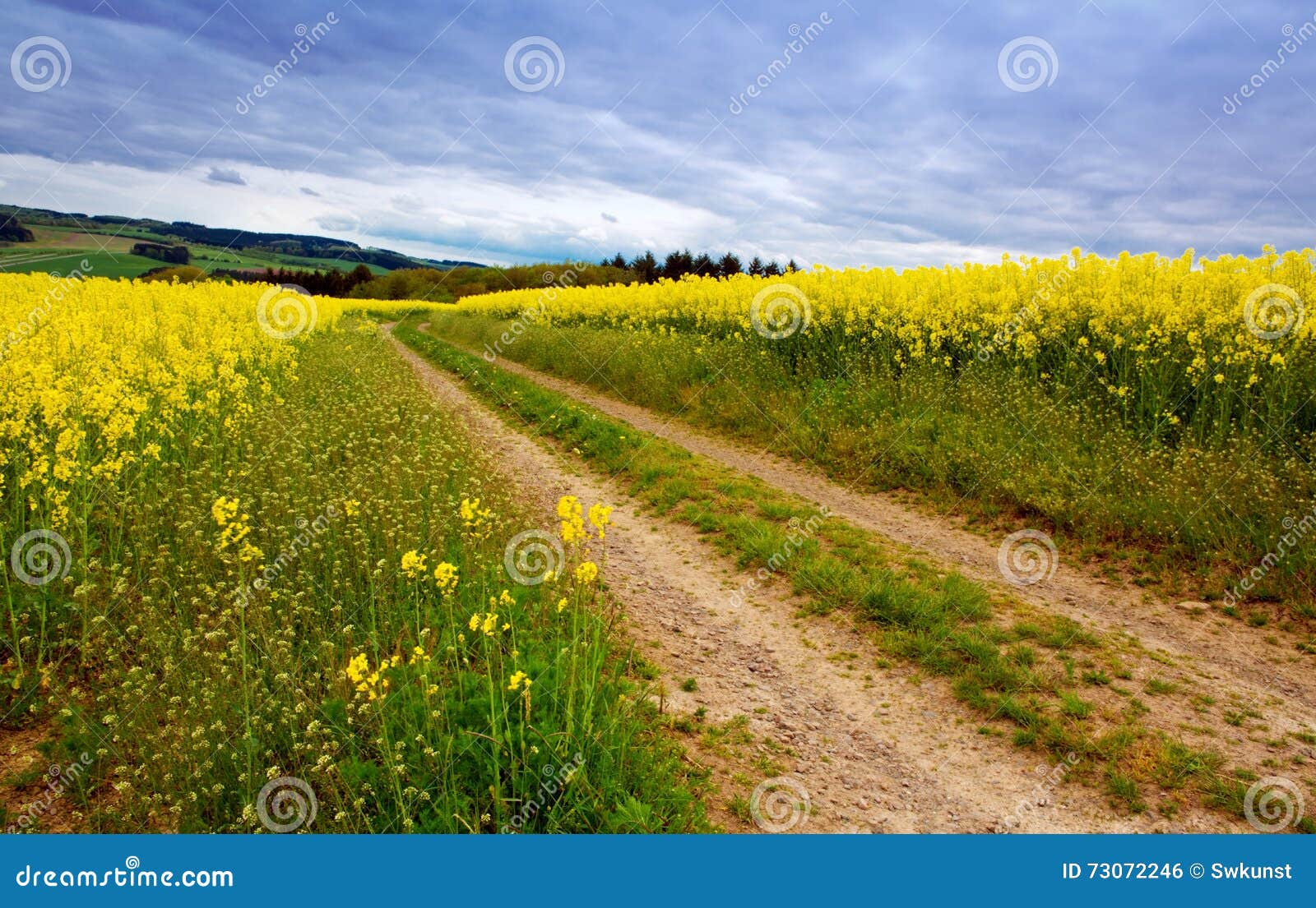 Road through the meadow. stock photo. Image of farm, energy - 73072246