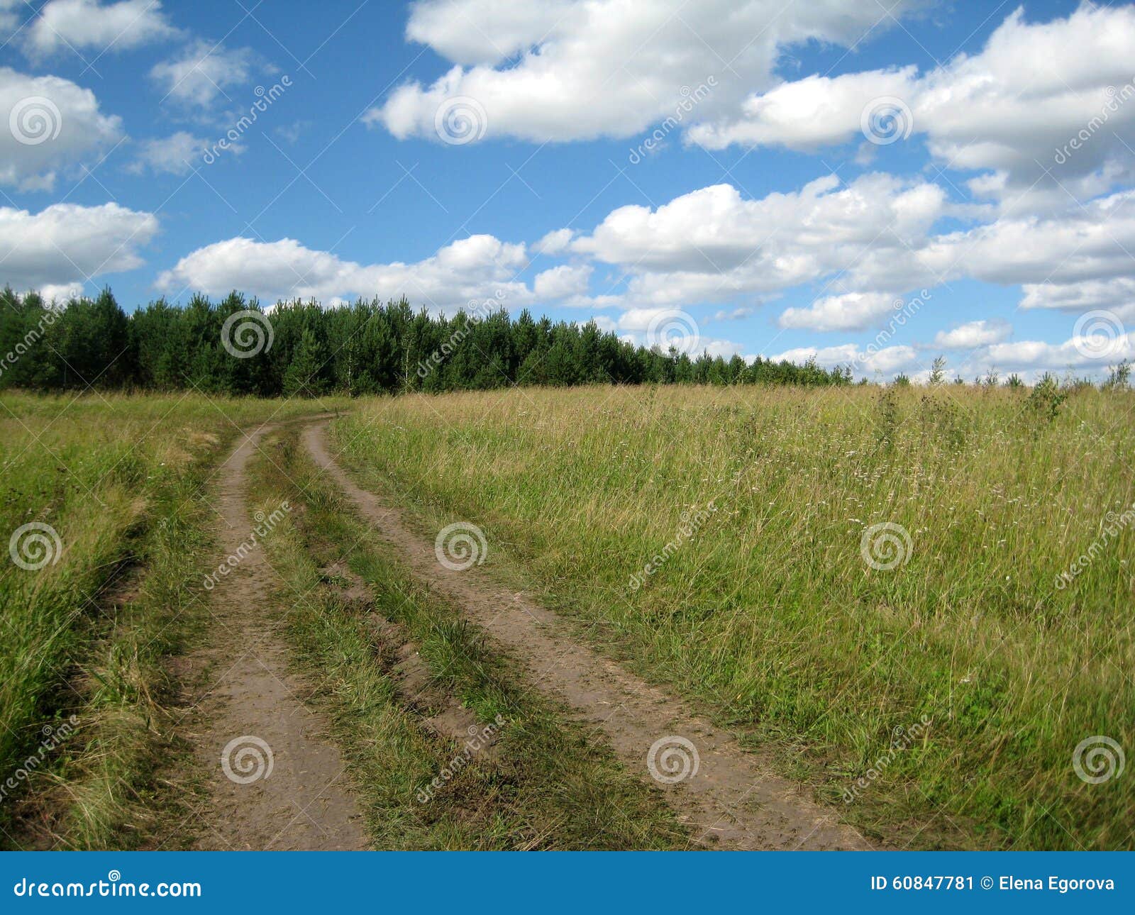 Road through a meadow stock image. Image of white, path - 60847781